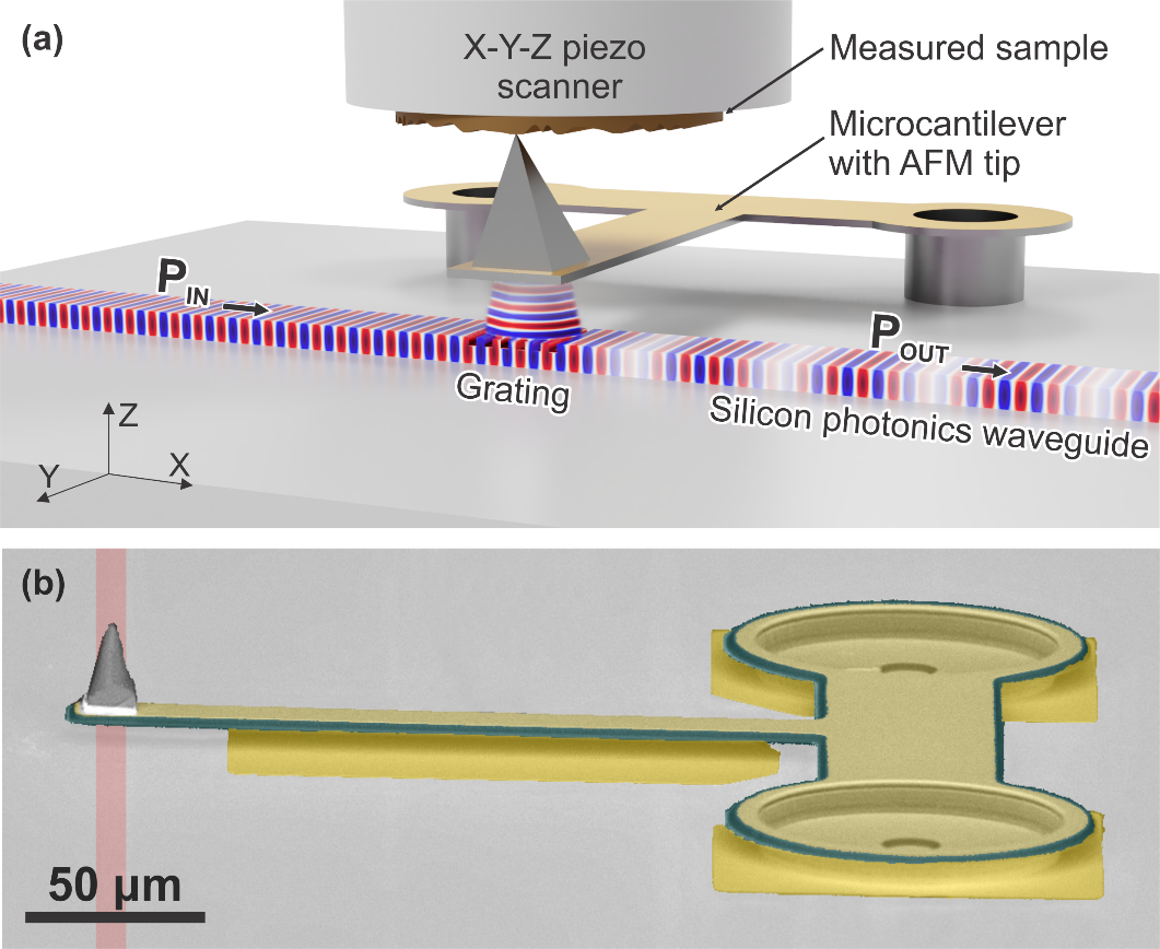 AFM on a chip - Australian National Fabrication Facility Limited